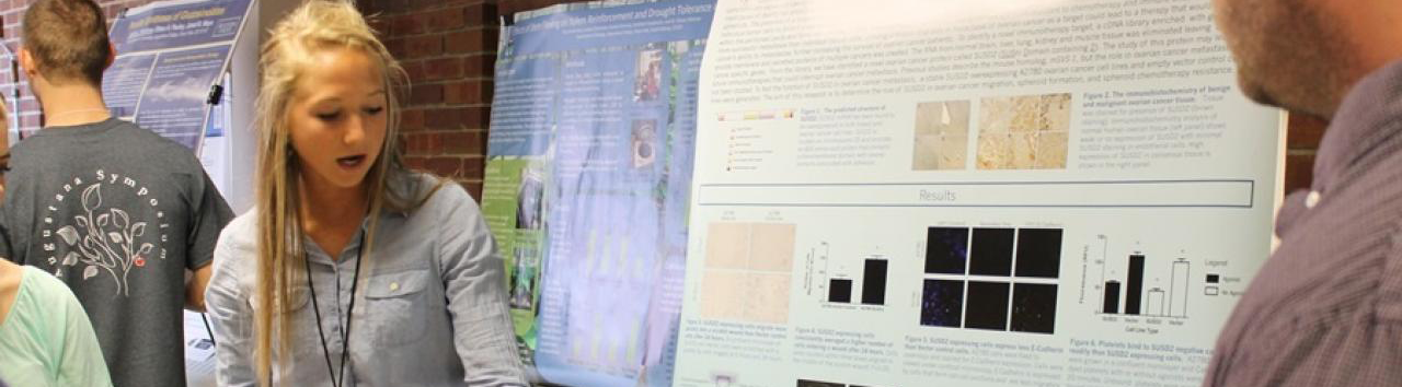 Undergraduate Research and Artistic Creation