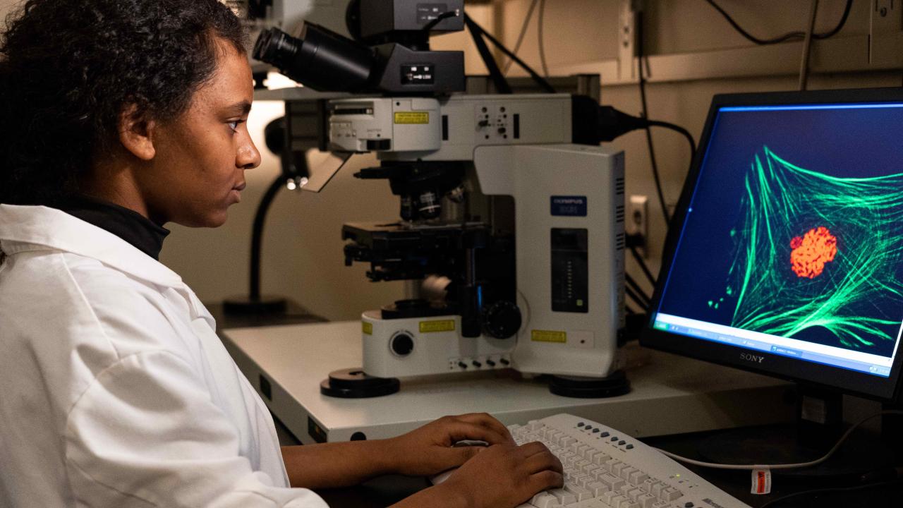 Biology Research | Augustana University